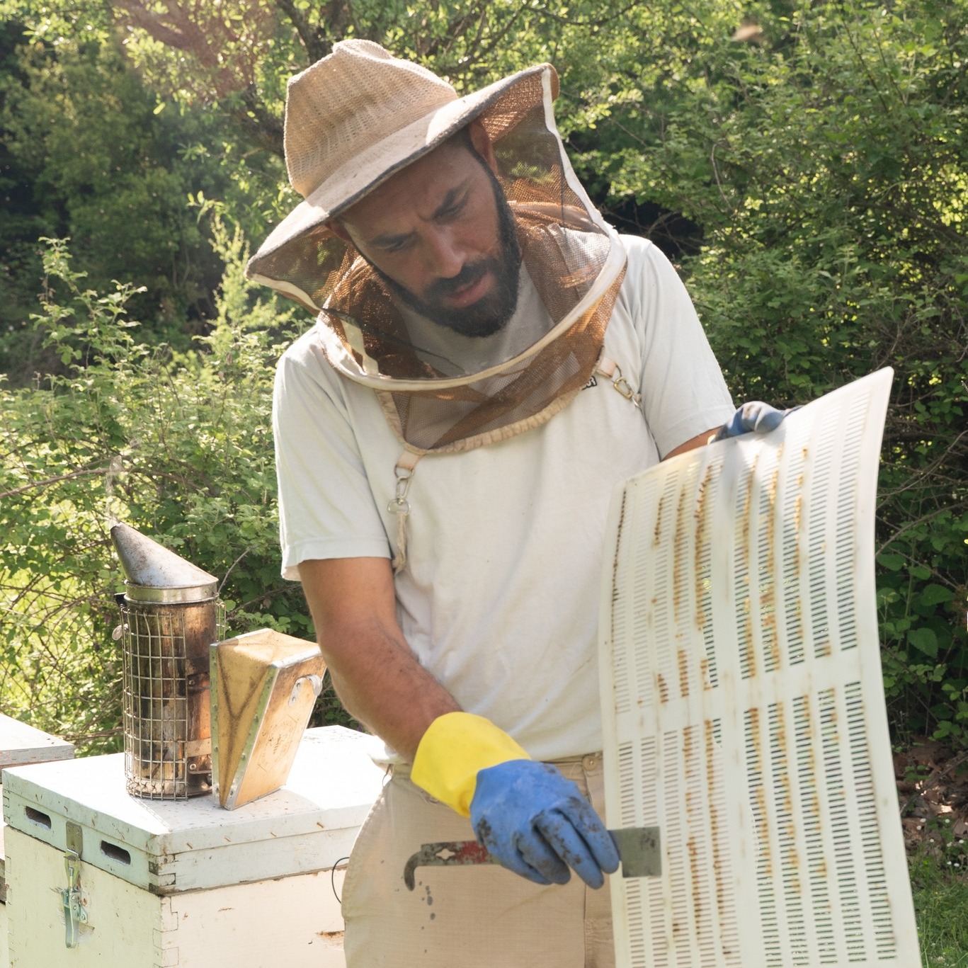βιολογικη μελισσοκομια – Welcome to the magic world of Honey Bees!